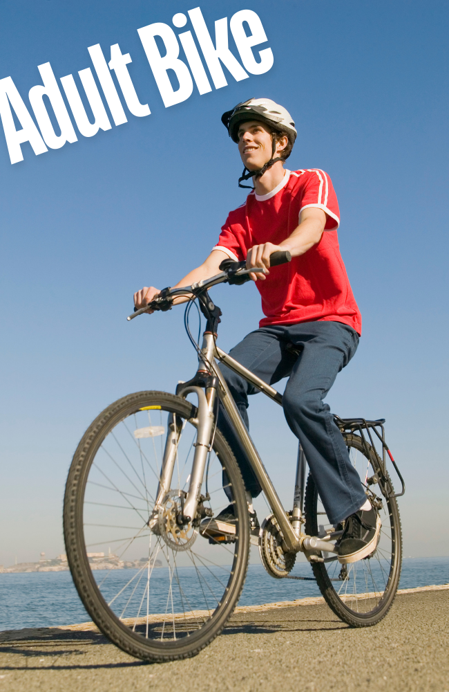 Bicystar Group – Bicystar Group Website