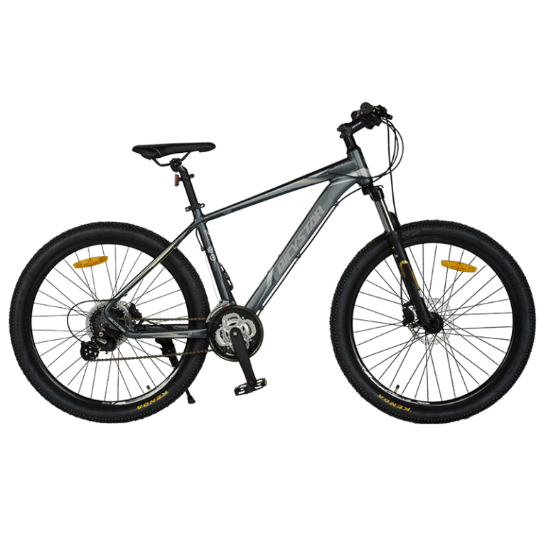 Bicystar Group – Bicystar Group Website