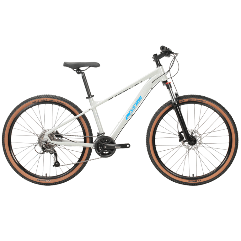 Bicystar Group – Bicystar Group Website