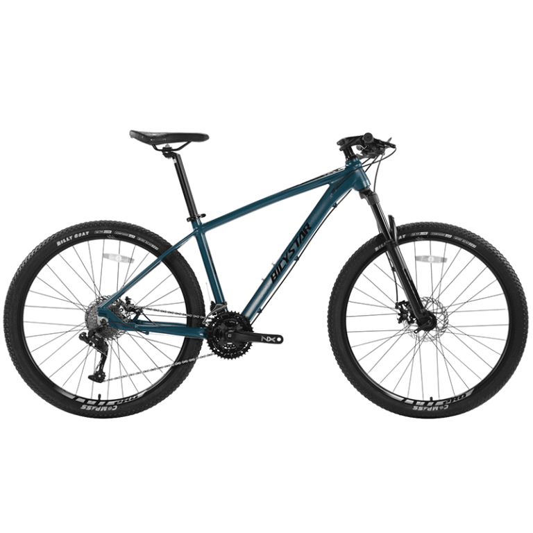 Bicystar Group – Bicystar Group Website
