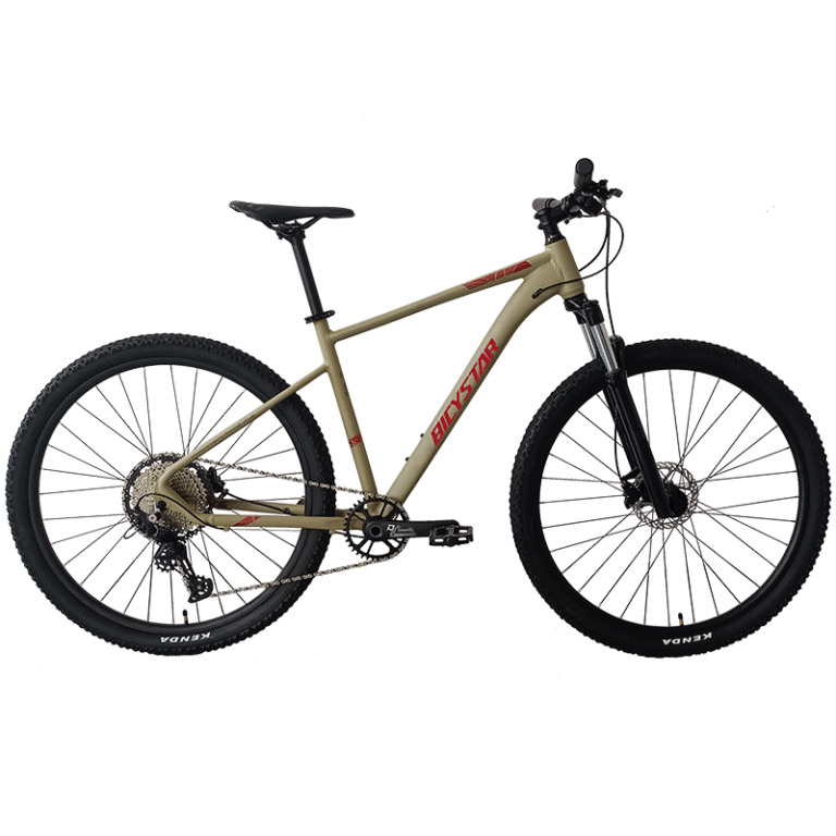 BS-MBA-2419 – Bicystar Group